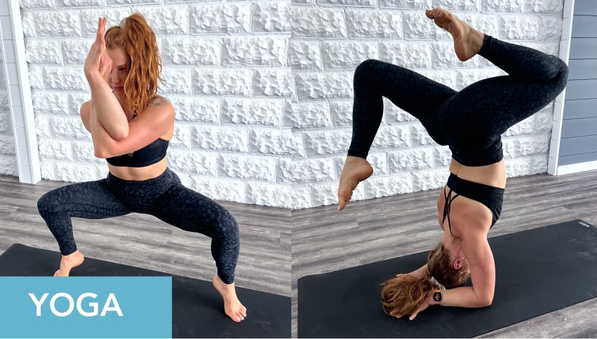 Programs & Offerings | My Fit Room Studio